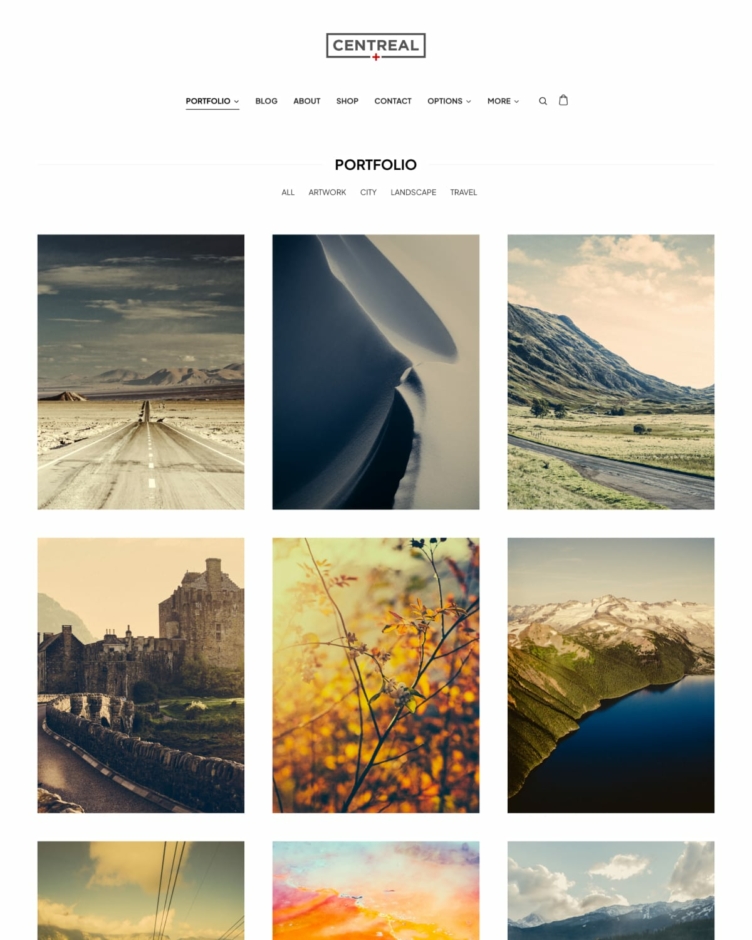 Free & Premium WordPress Themes